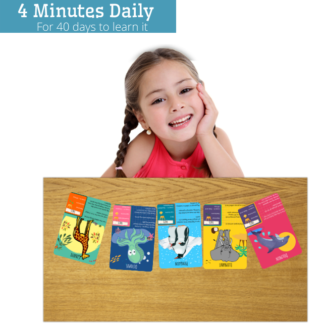 Creative Brain Animal Flash Cards for Kids, Activity Box