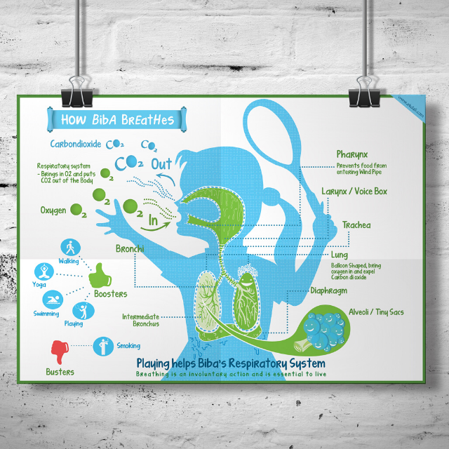 Respiratory System Science Chart for Kids, Science Poster for Ki