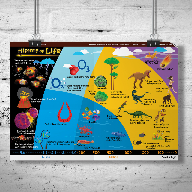 History of Life Poster for Kids, History Charts for Schools